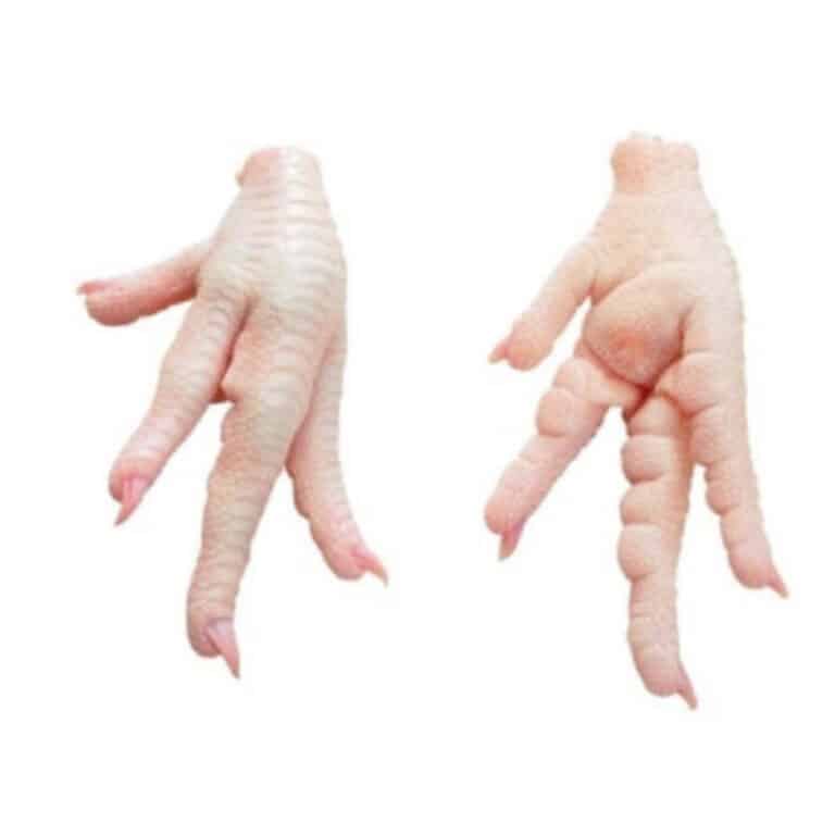 frozen chicken wings | frozen chicken feet | frozen chicken paw